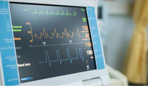 Compass Rose Public Schools | Navigate Life's Big Opportunities